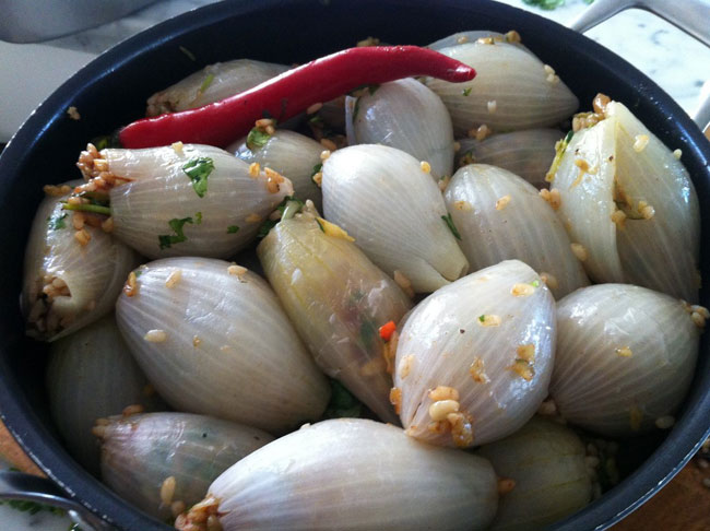 בצל ממולא בפריקי ובורגול עם רוטב עגבניות ורימונים | דנונה שטראוס